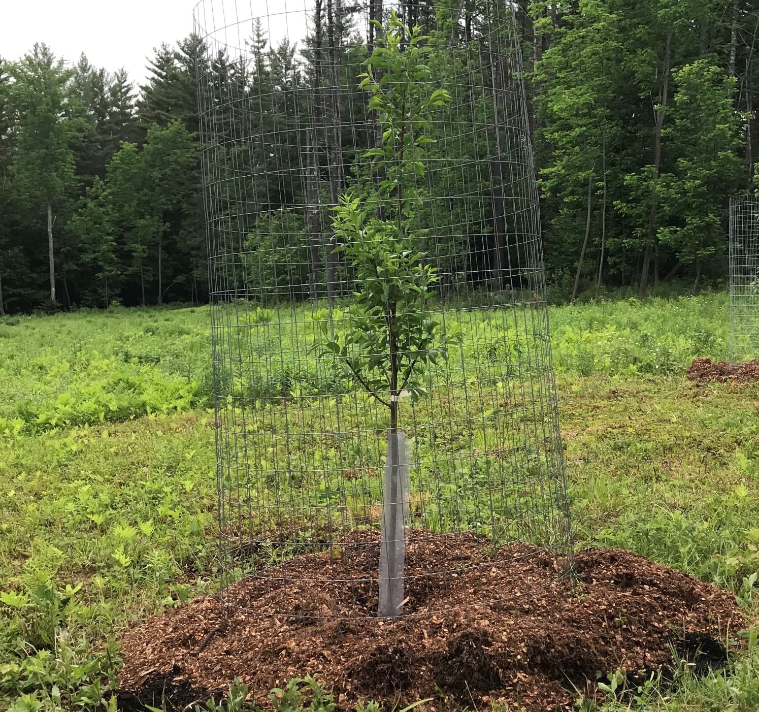 Fencing & Fertilizer – East Hill Tree Farm